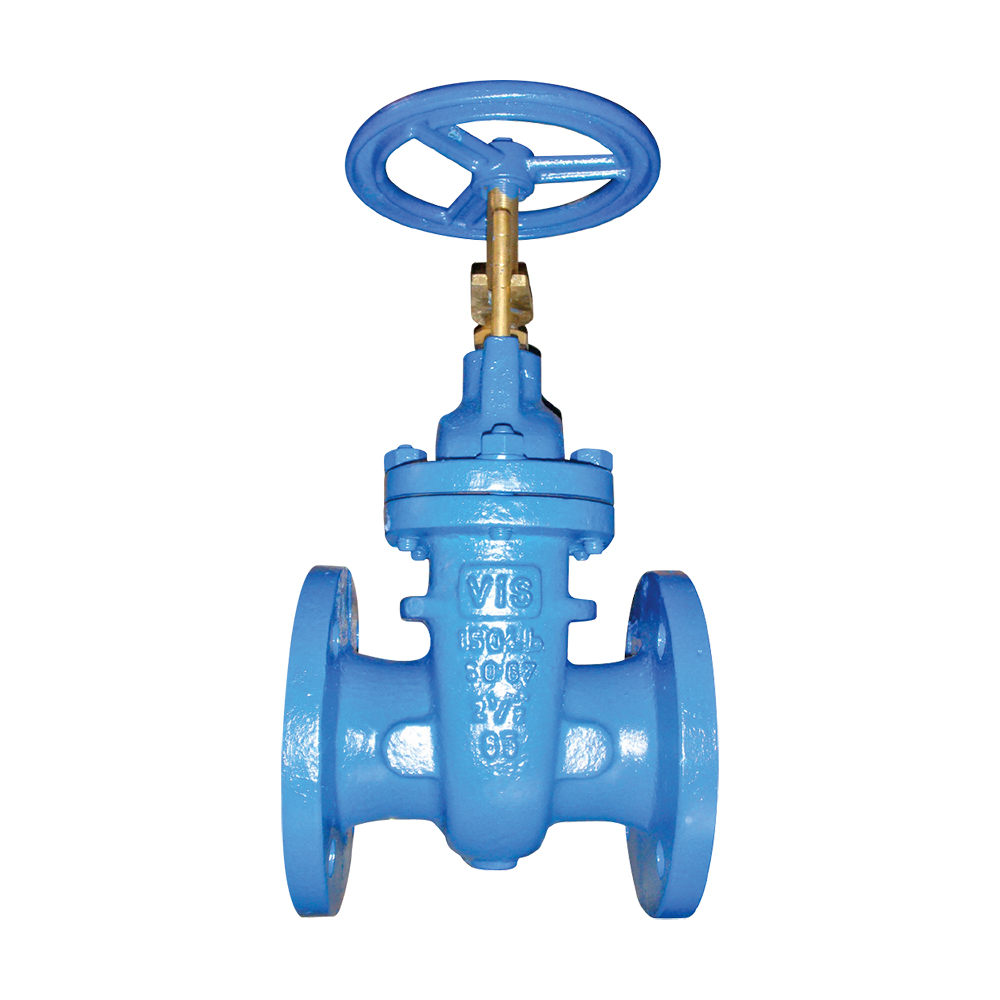 Gate Valve With Stuffing Box & Indicator | Vis Vana
